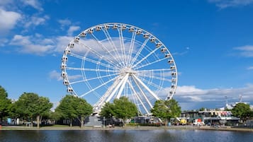 Uma grande roda gigante com cabines, ao fundo um céu azul claro, com árvores e um corpo d'água em primeiro plano.