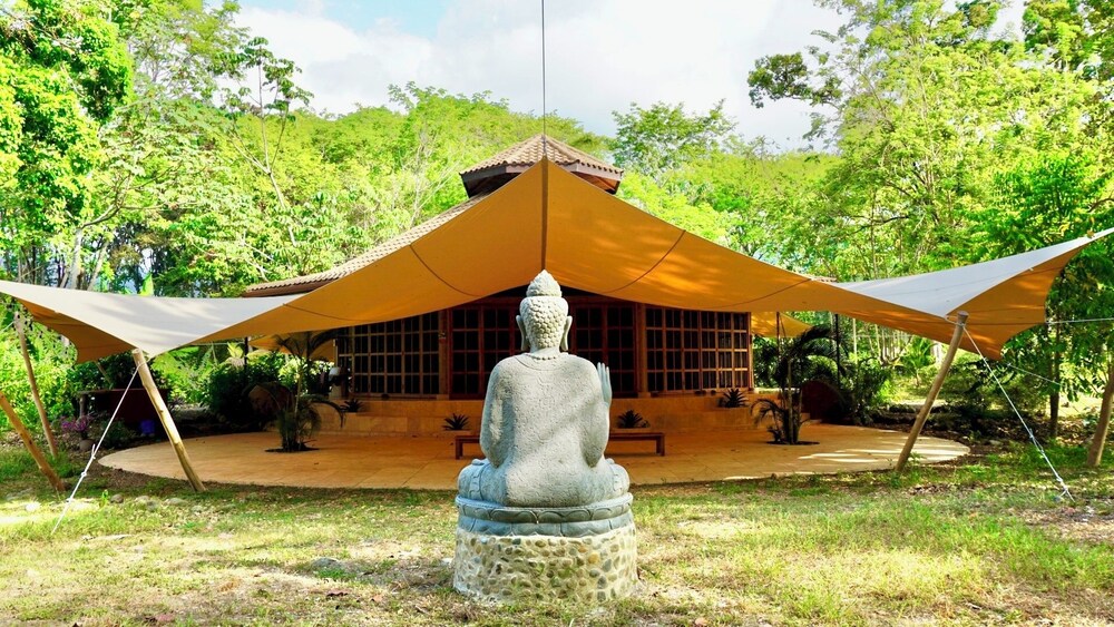 Awake - Uvita