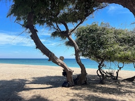 Uma praia com céu claro, faixa de areia e uma árvore com um chapéu.