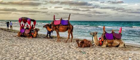 Estúdio (5 Bedrooms) | Fachada do alojamento