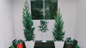 Degraus decorados com vasos de plantas.