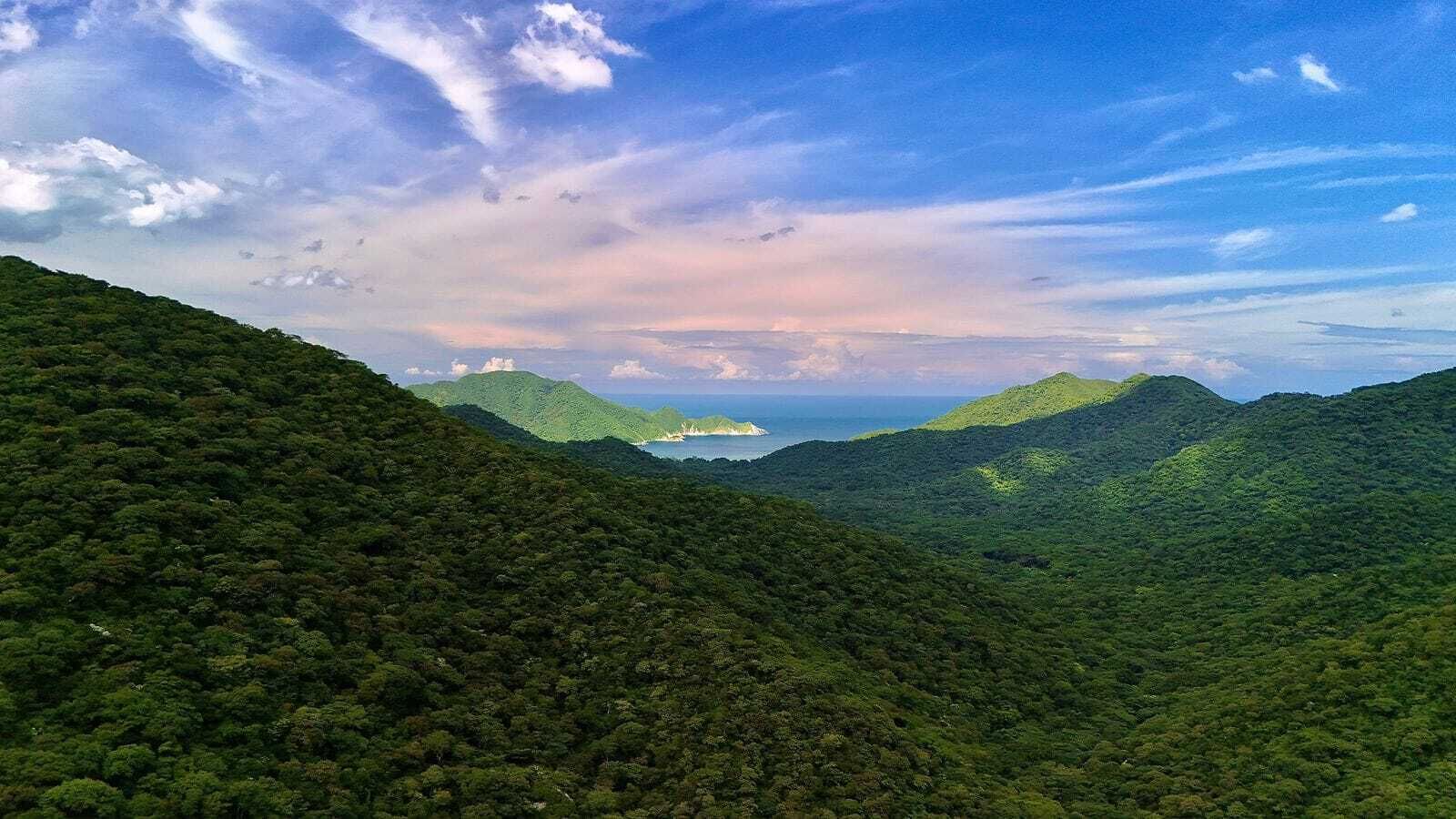 Paisagem verdejante e exuberante, com vista para o oceano e colinas ao longe.