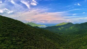Paisagem verdejante e exuberante, com vista para o oceano e colinas ao longe.