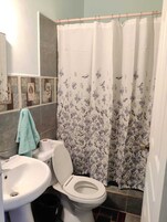 Apartamento standard, vista para a montanha | Banheiro | Chuveiro, toalhas de banho, sabonete, papel higiênico