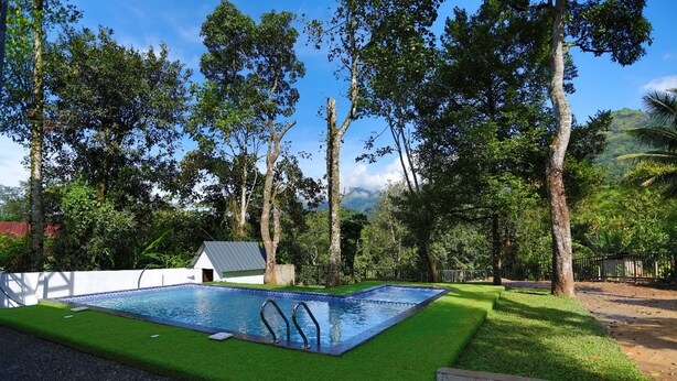 Piscina retangular com um pequeno deck, rodeada por grama verde exuberante e árvores.