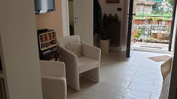 Televisor