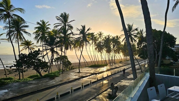 Vista da praia com palmeiras, uma estrada e um guarda-corpo de vidro com vista para o oceano.