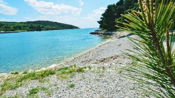 Uma praia de pedras com água cristalina e vegetação.