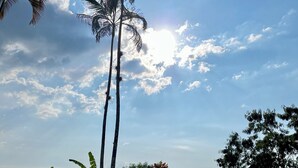 Piscina cristalina com reflexos de palmeiras e céu claro.