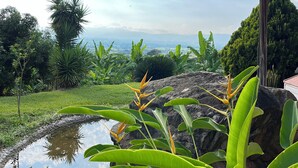 Um jardim com lago, plantas tropicais e um coreto.