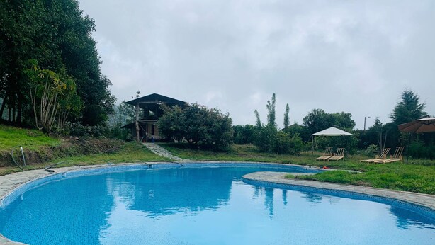 Uma piscina com ladrilhos de pedra, cercada por grama e árvores.
