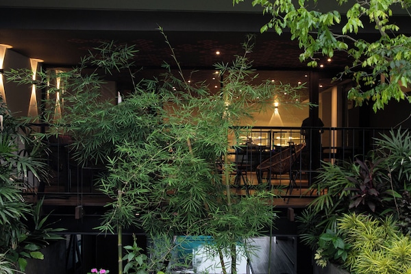 Terrenos do alojamento