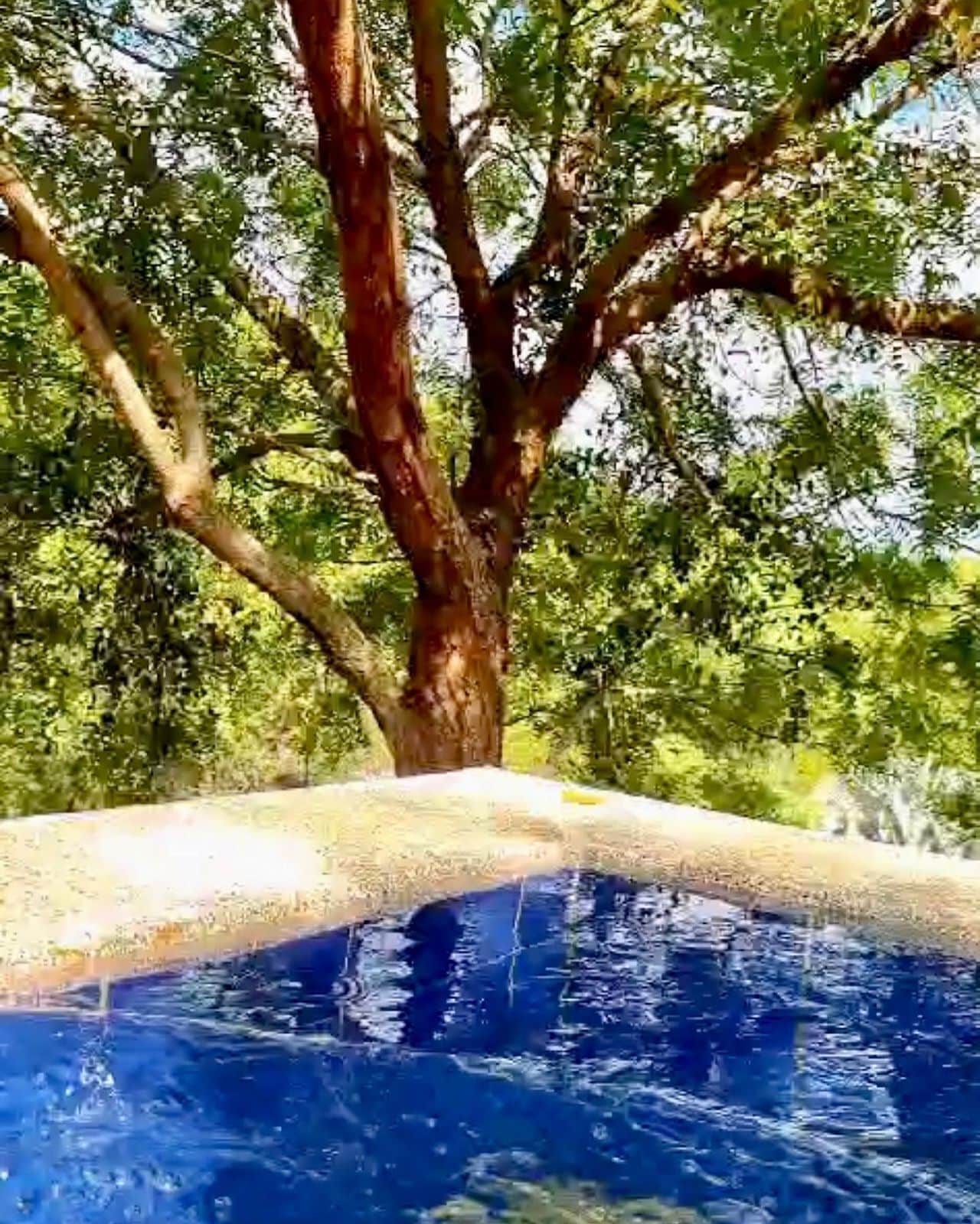 Suíte estúdio lua de mel | Terraço/pátio