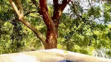 Suite de Luxo, vista para o jardim | 1 quarto