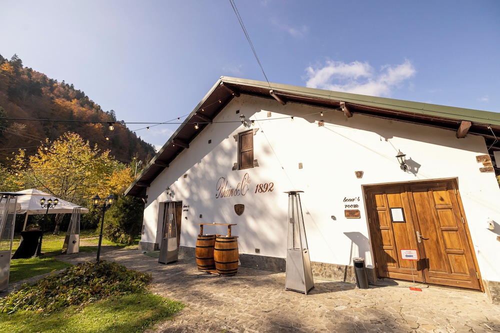 Pensiunea Rhein - Azuga