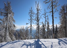 Casa | Vista da propriedade