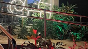 Escadaria com guarda-corpo metálico e vidro, cercada por plantas exuberantes e luzes decorativas.