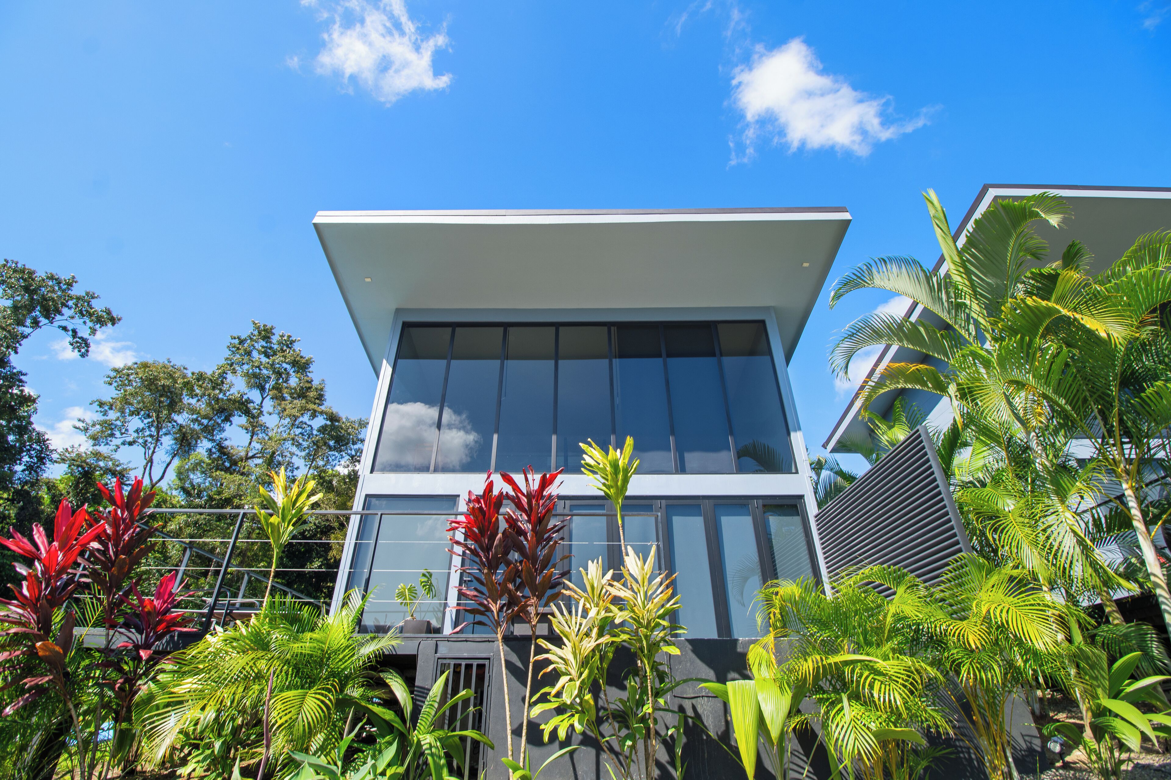 Um edifício moderno com grandes janelas e telhado plano, cercado por plantas tropicais.