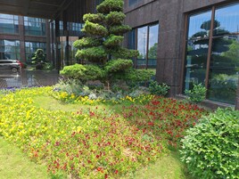 Jardim ajardinado com diversas flores e uma árvore alta em frente a um edifício moderno com grandes janelas.