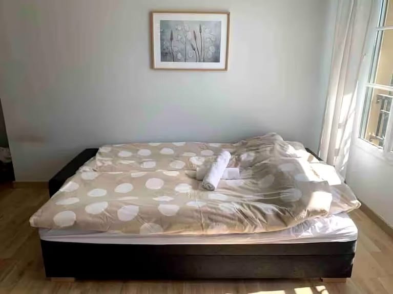Disneyland 10 Minutes / Paris 35 Minutes - Torcy