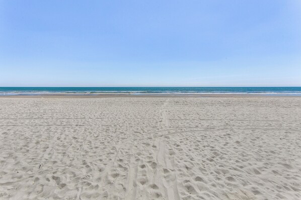 Apartamento (1 Bedroom) | Interior