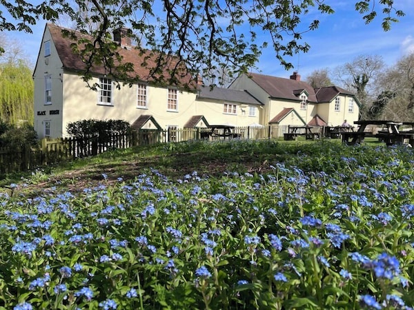 Black Horse - Essex