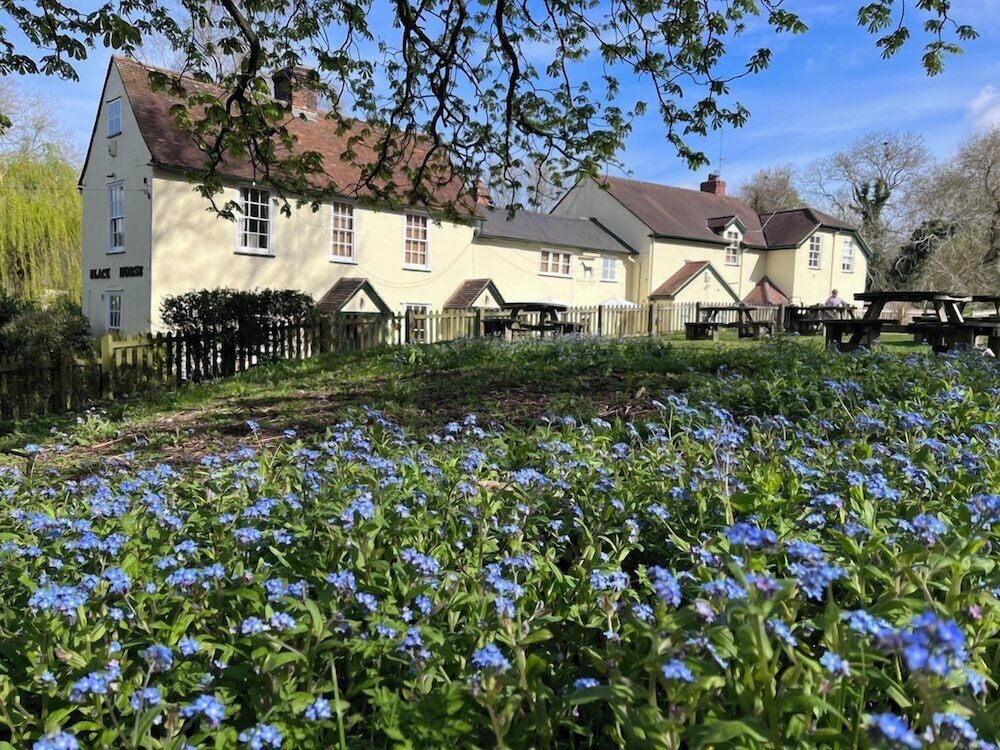 Black Horse - Hertfordshire