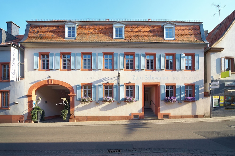 Landhotel Zum Schwanen - Worms