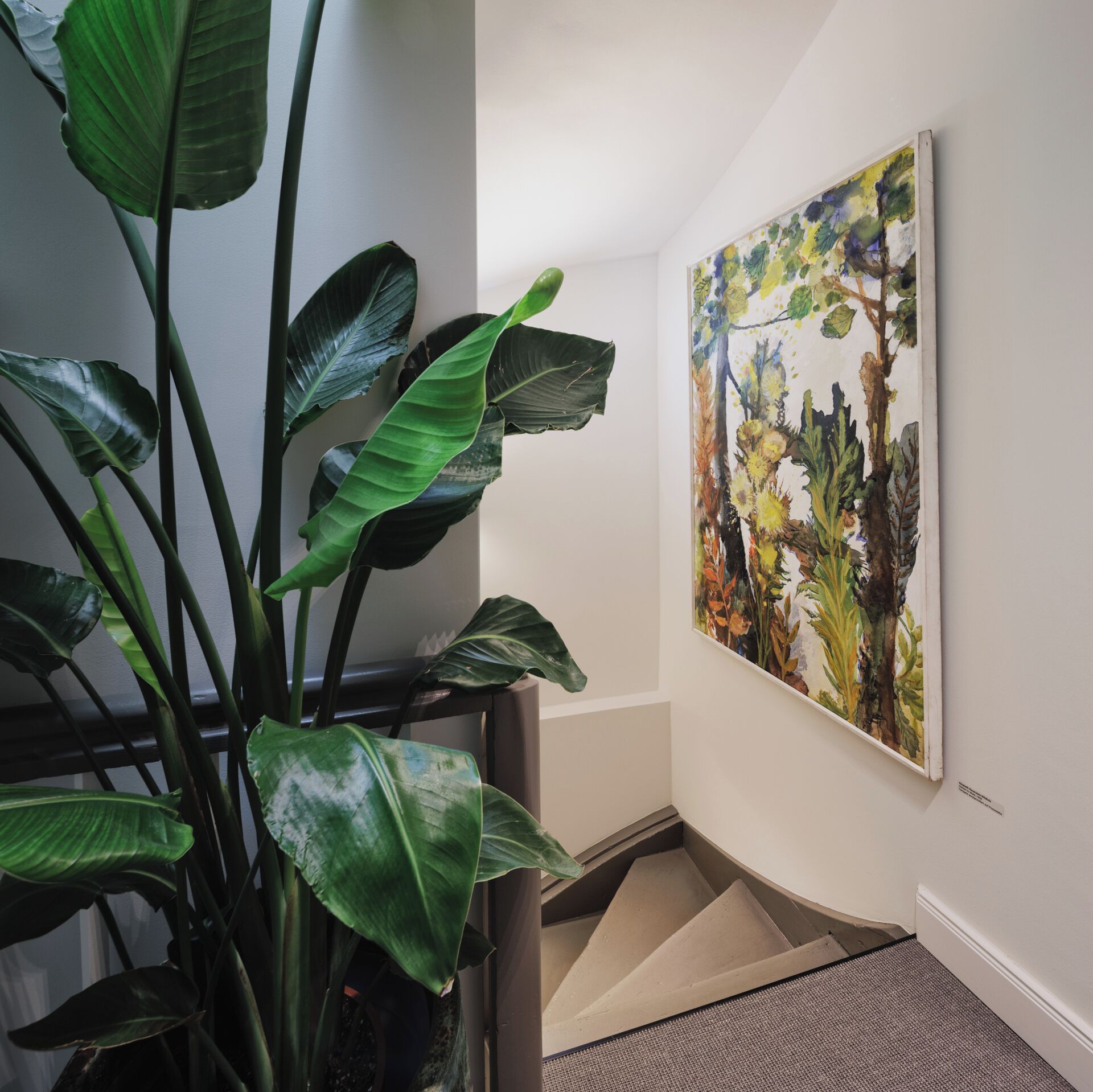 Um corredor com uma planta grande e um quadro na parede.