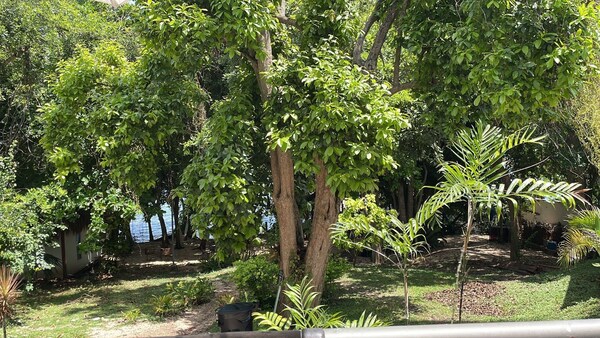 Casa Lua By Ambar - Bacalar