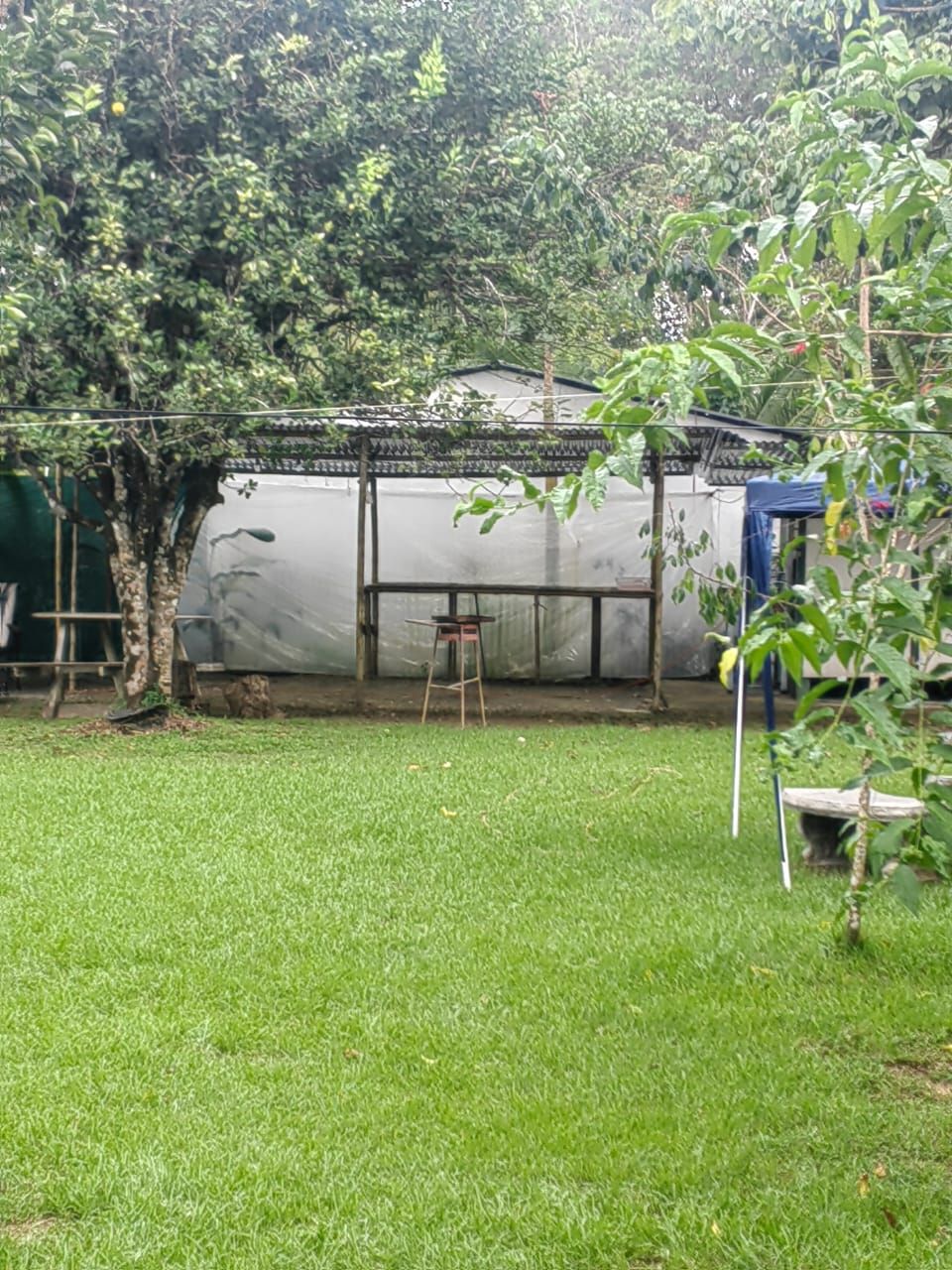 Pátio interior