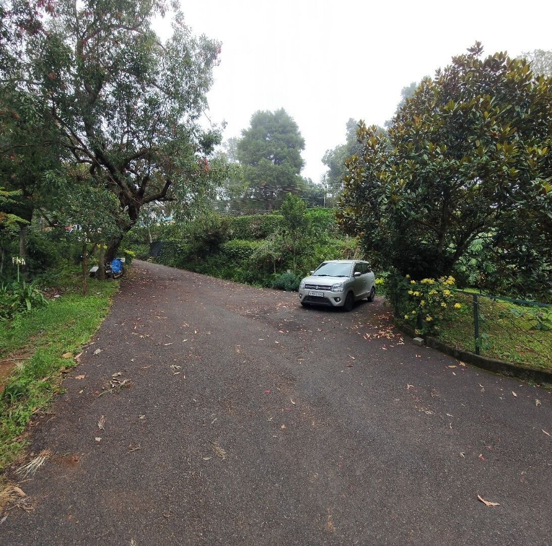 Uma estrada pavimentada com um carro estacionado e vegetação exuberante em ambos os lados.