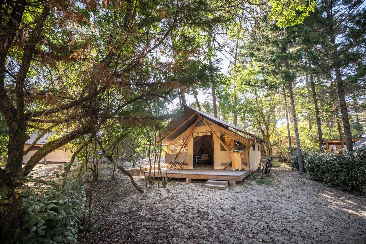 Uma cabana de madeira numa floresta, com um alpendre e mobiliário para áreas externas.