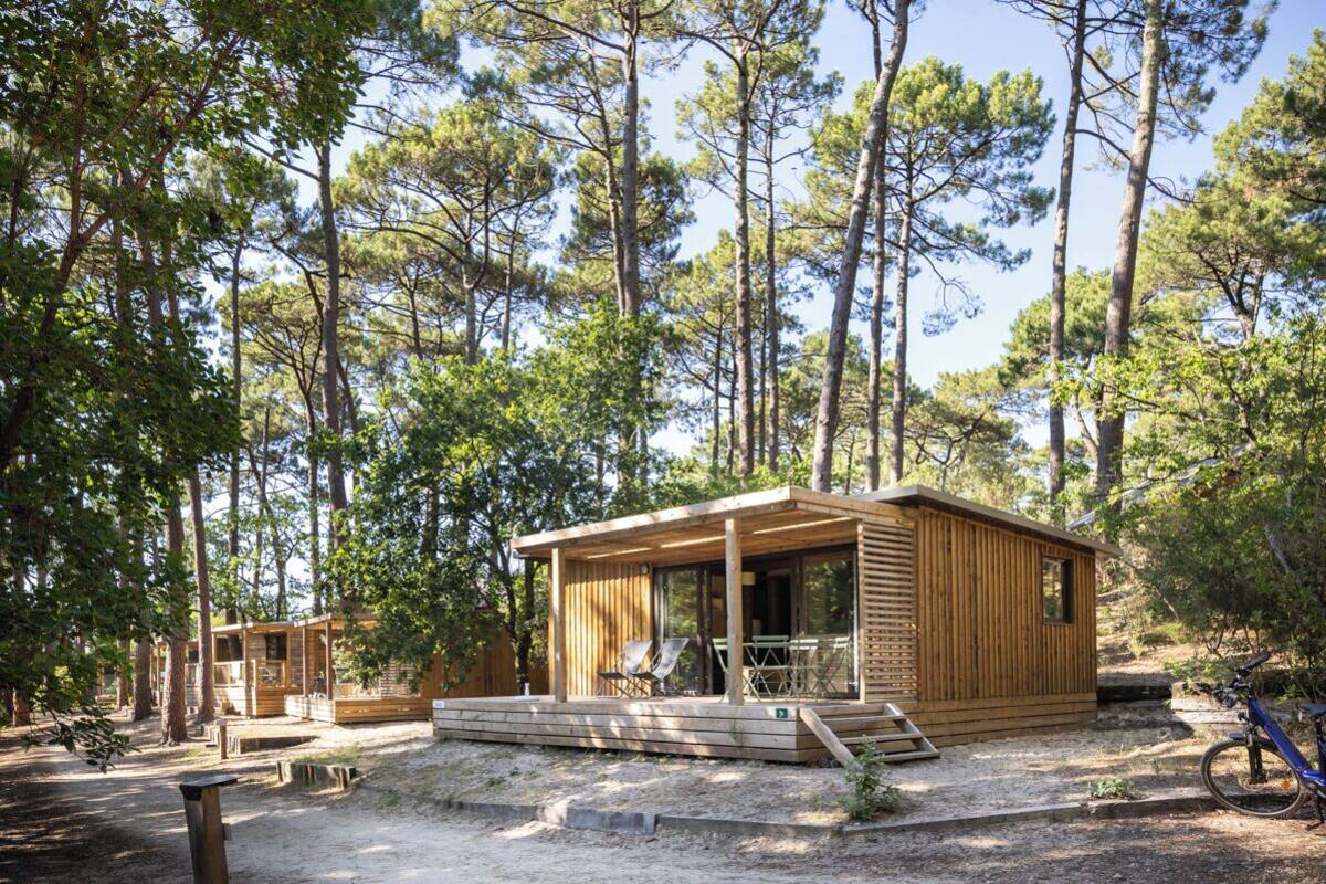 Uma cabana com varanda e deck, rodeada por altas árvores de pinheiro.