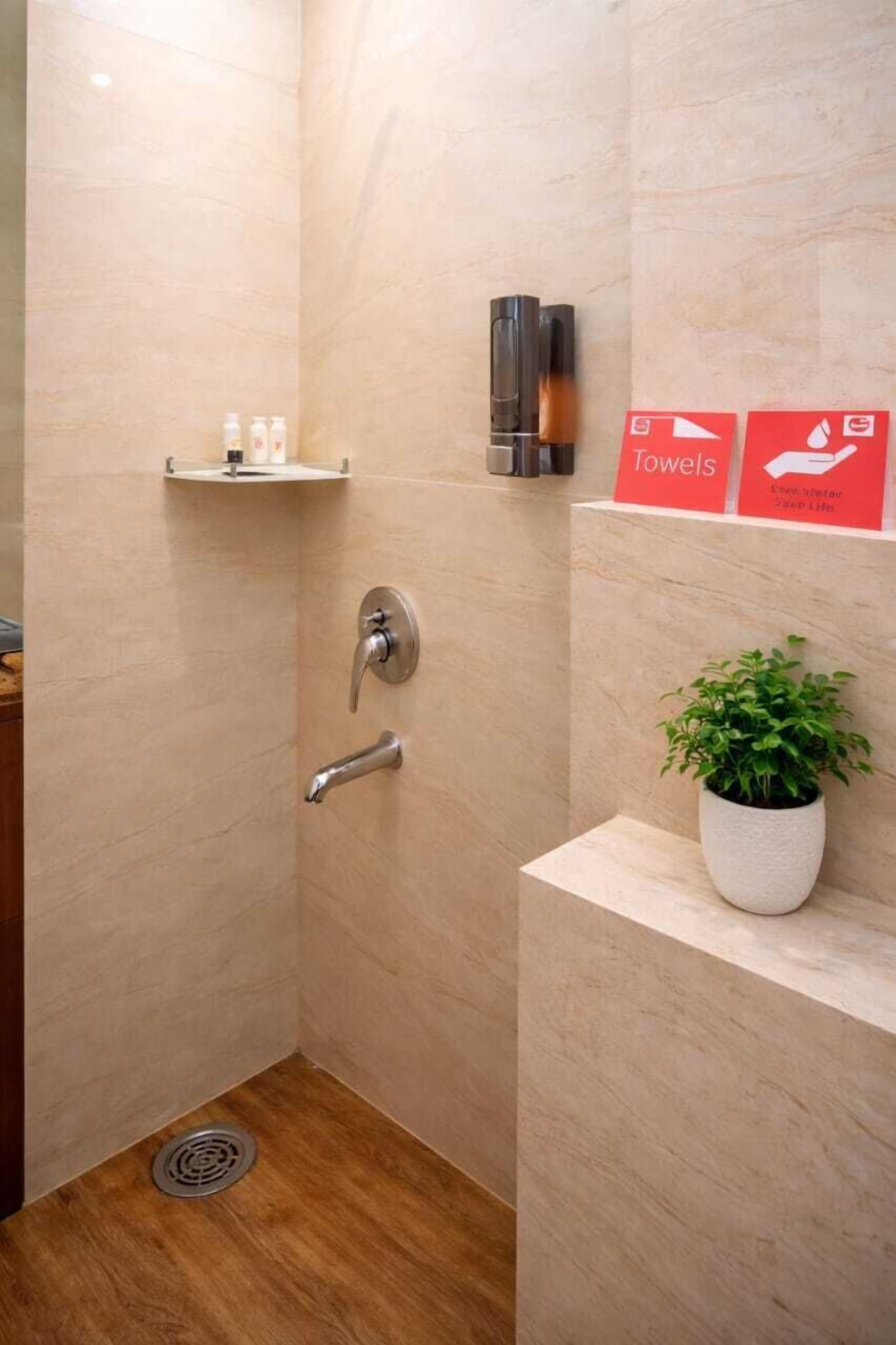 Área de chuveiro com dispensador de toalhas fixado na parede, uma planta em vaso e prateleira com produtos de higiene pessoal.