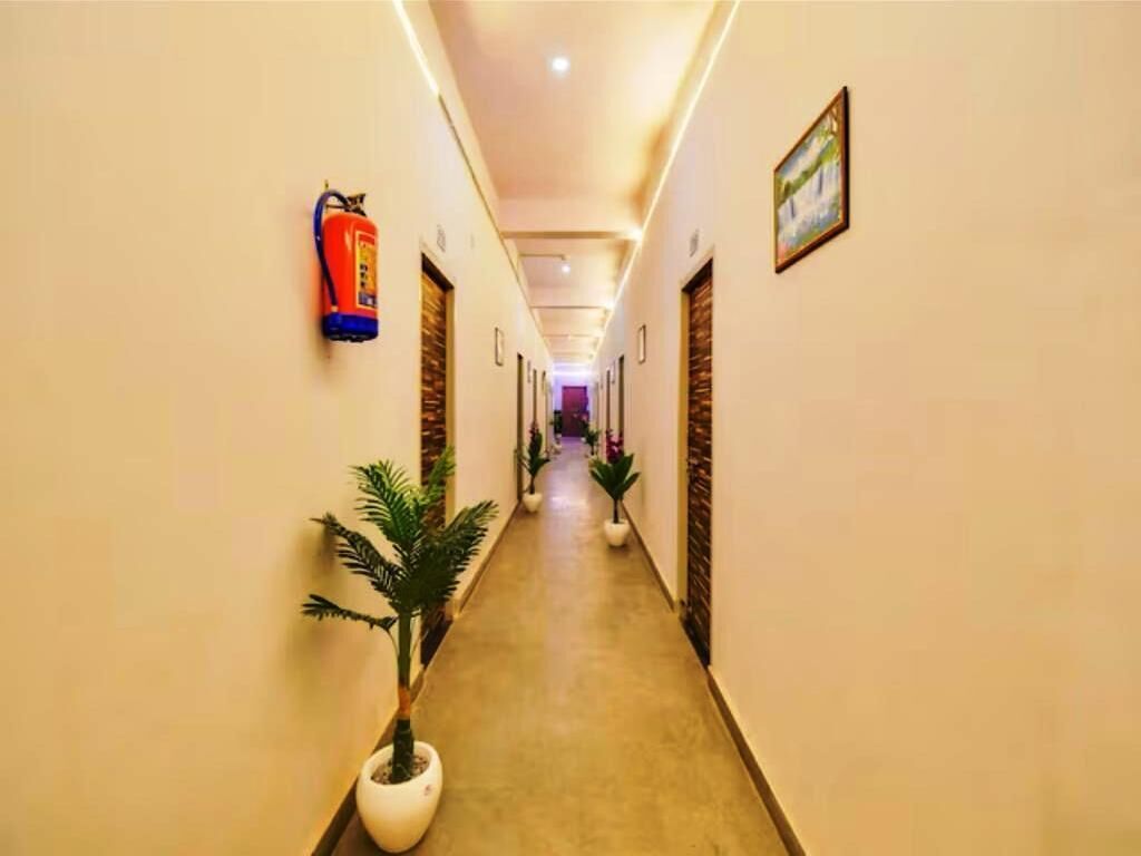 Um corredor de hotel com extintor, plantas em vasos e obras de arte emolduradas nas paredes.