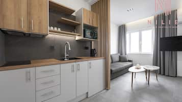 Estúdio, Vista para a cidade | Cozinha privada | Minifrigorífico, um micro-ondas, uma placa de cozinha