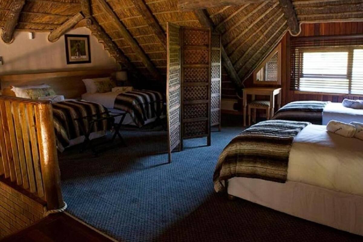 Chalé Deluxe, 1 cama queen-size, kitchenette, vista para o parque | Lençóis de algodão egípcio, roupa de alta qualidade, cofre no quarto