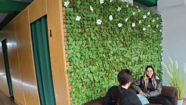 Uma área de recepção com parede verde e painel de madeira à esquerda.