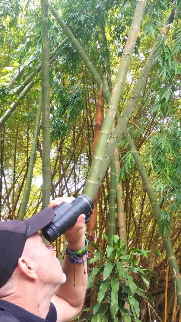 Casa Turistica Valeriana - Cali