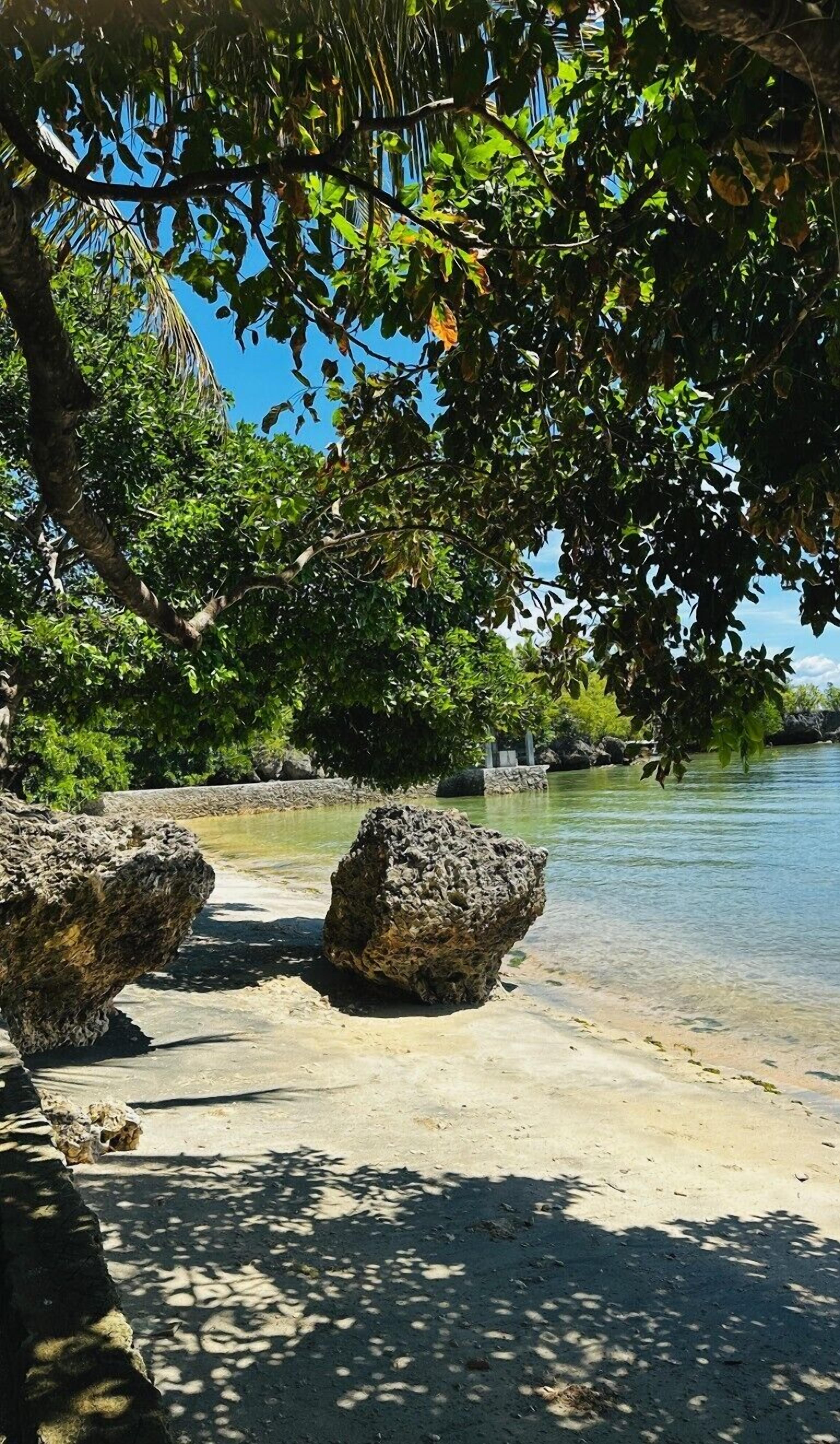 Uma praia com águas cristalinas, pedras grandes e vegetação densa.