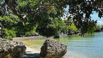 Uma praia com águas cristalinas, pedras grandes e vegetação densa.