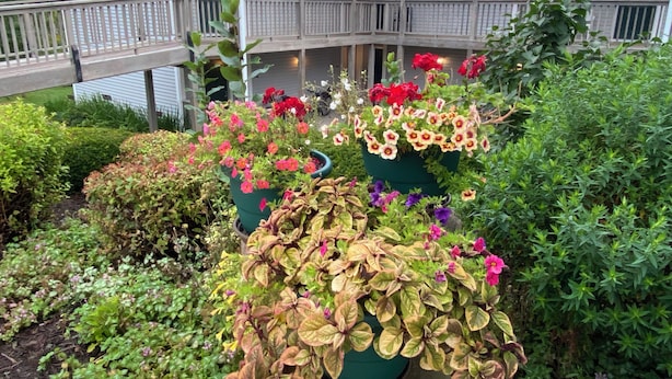 Edifício com vários andares e varanda, rodeado por vasos com plantas e flores.