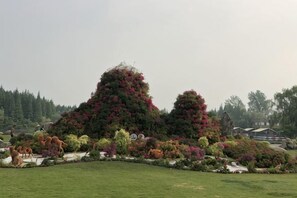 Um jardim ajardinado com uma estrutura arbórea imponente e diversos arbustos.