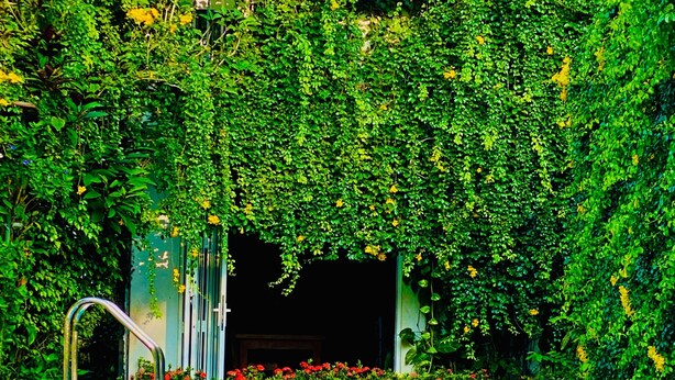 Uma piscina com escada de metal, cercada por folhagem verde exuberante e um pequeno jardim com flores vermelhas.