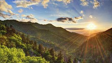 Cabana de Madeira Signature, 2 quartos, banheira de hidromassagem grande, vista para a montanha | Vista do quarto