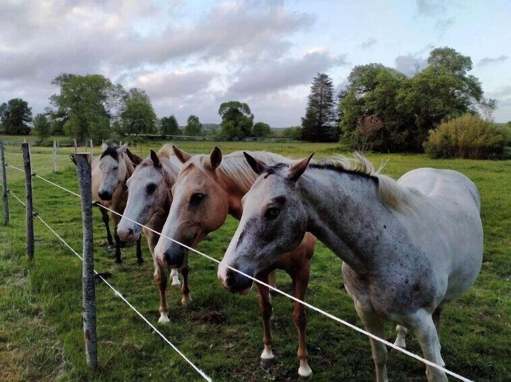 Manoir De L'aisnerie - Saint-Herblain