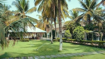 Jardim