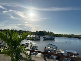 Vista da propriedade