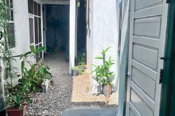 Vista para o jardim